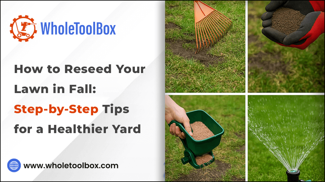How to Reseed Your Lawn This Fall for a Healthier Yard